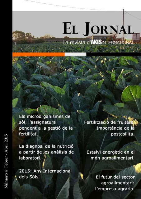 El jornal número 1 | PDF