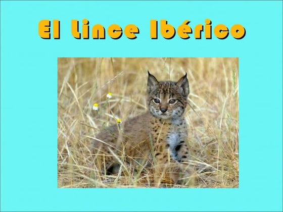 Presentación el lince ibérico | PPT