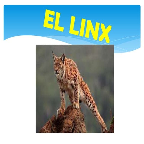 El linx | PPT