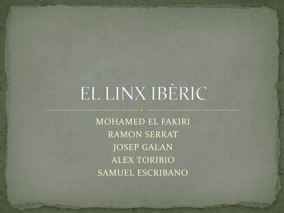 Aa mamifer linx ibèric | PPTX