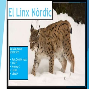 El linx nòrdic - LS Manlleu - 1r ESO | PPTX
