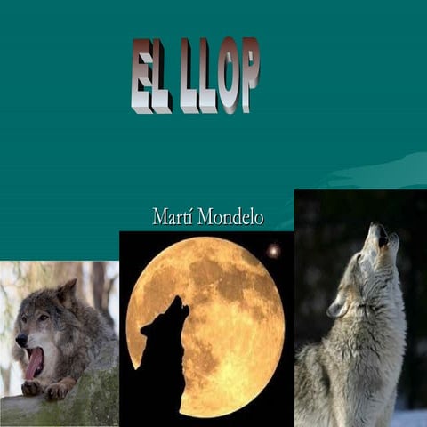 El llop | PPT