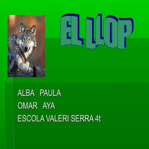El llop | PPT