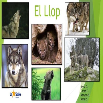 El llop 1r ESO La Salle Manlleu 2016 | PPTX