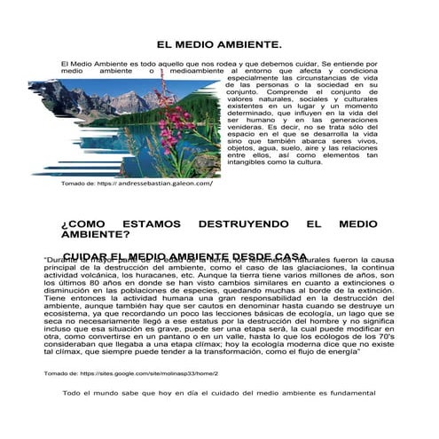 El medio ambiente | DOC | Indoor Environmental Quality | Home & Garden