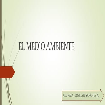 El medio ambiente | PPTX