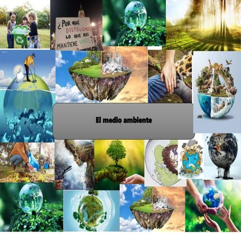 El Medio Ambiente.docx