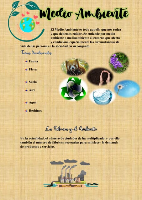 medio ambiente | PPTX | Indoor Environmental Quality | Home & Garden