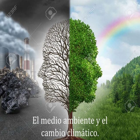 El medio ambiente y el cambio climatico! | PPTX