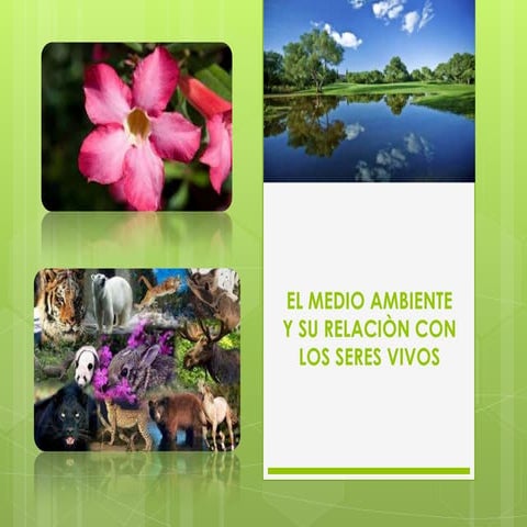 El medio ambiente y su relaciòn con los Seres Vivos | PPTX