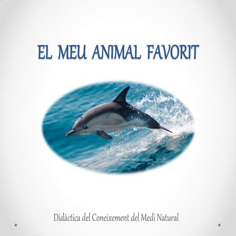 El meu animal favorit | PDF