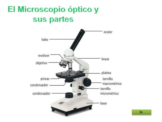 Microscopi òptic | PDF