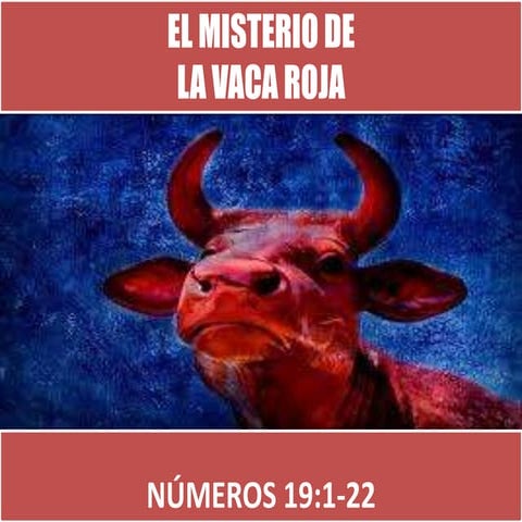 El misterio de la vaca roja | PPTX