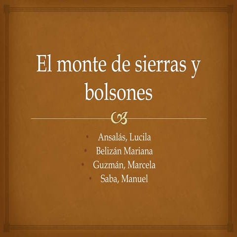 El monte de sierras y bolsones | PPTX