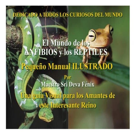 ANFIBIOS Y REPTILES - Fharit Julca y Kamerot Raymundo.pptx