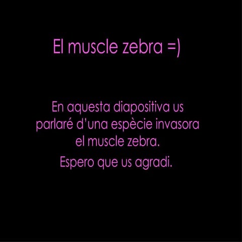 El Muscle Zebra =) | PPT