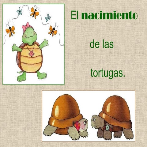 E l nacimiento de las tortugas. cuento sobre la familia. | PPS