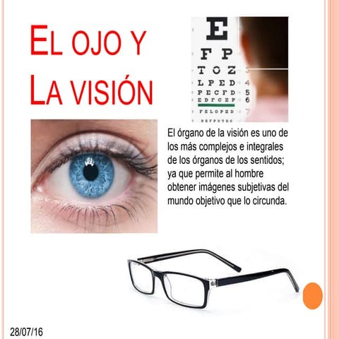El ojo y la vision | PPTX