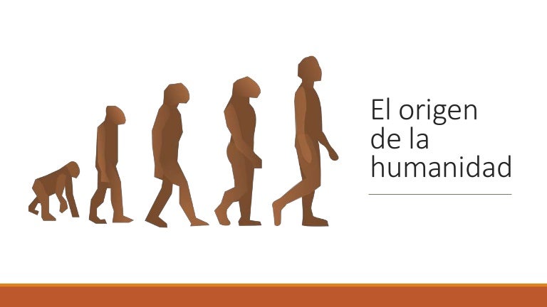 Trabajo de Cultura Científica 1º Bachillerato: El origen de la humani…