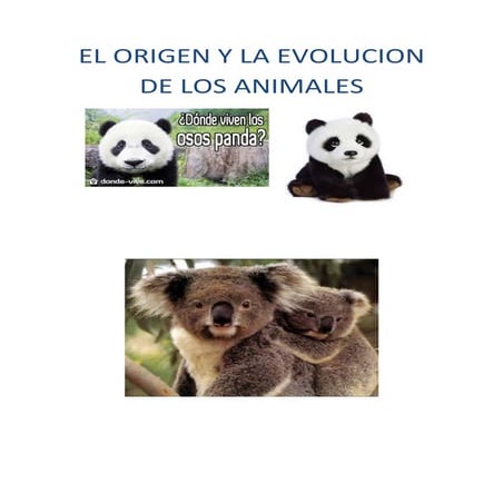 El origen y la evolucion de los animales | ODT