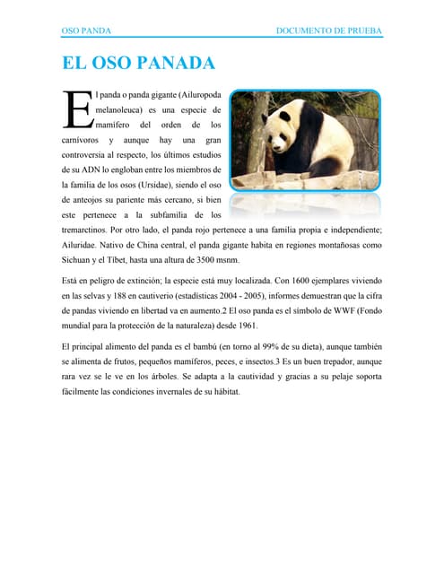 El oso panda | PDF