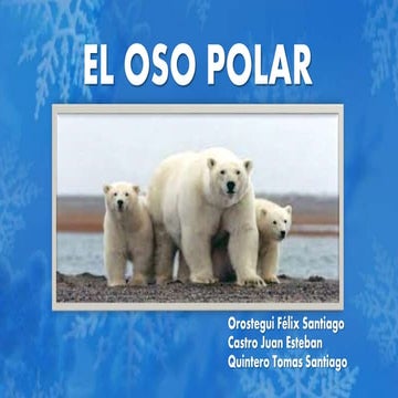 EL OSO POLAR.pptx