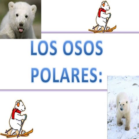 El oso polar ainhoa | PPTX