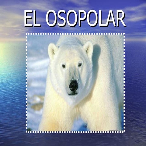 El oso polar andrea plaza 5ºB | PPT