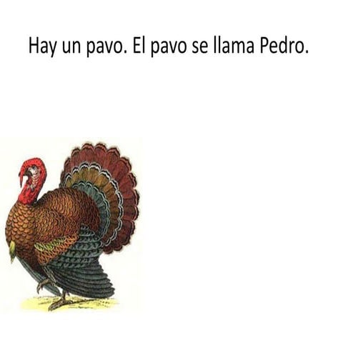 El pavo pedro 2nd grade | PPTX