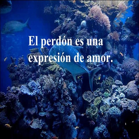 El perdon | PPS