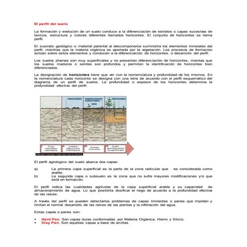 Diagrama De Capas Del Horizonte Del Suelo Procesos Que Intervienen En