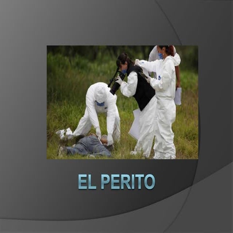 El perito | PPTX