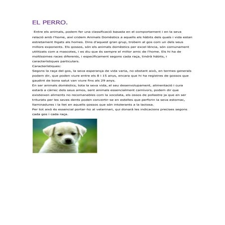 Gossos | PPT