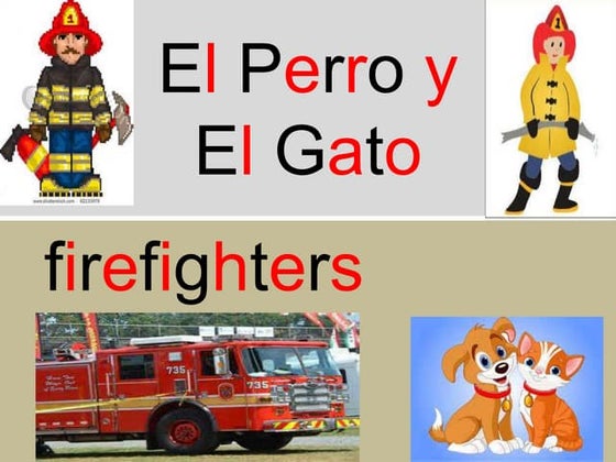 El perro y el gato-veterinario | PPT