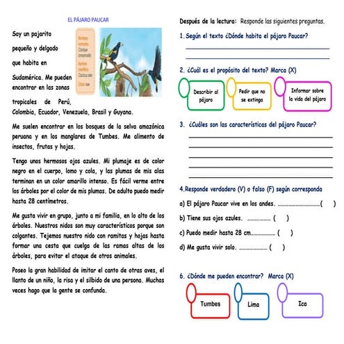 EL PÁJARO PAUCAR.docx