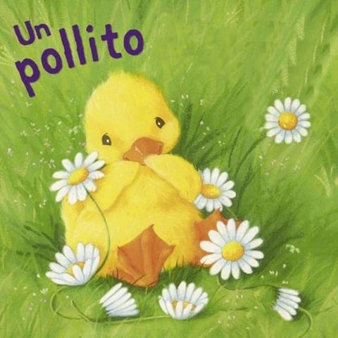 El pollito | PPTX