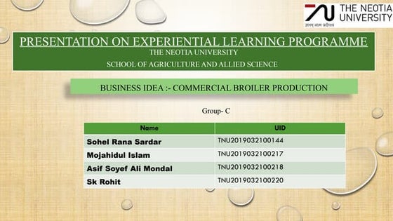 Broiler SBA.docx for agricultural science csec | PDF