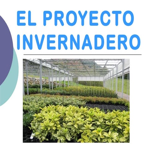 EL PROYECTO INVERNADERO | PPT