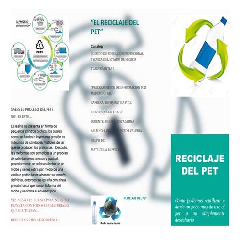 El arte con el PET | PPTX