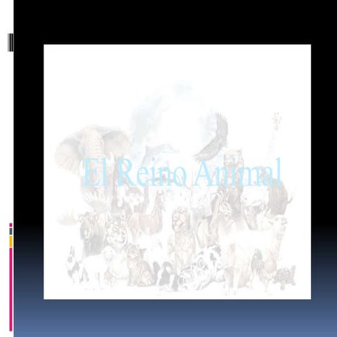 Animales de la selva 1 | PPTX