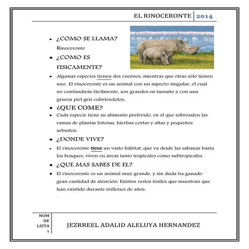 El rinoceronte | DOCX