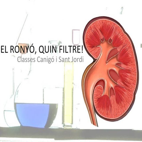 El ronyó. Quin filtre! | PPT