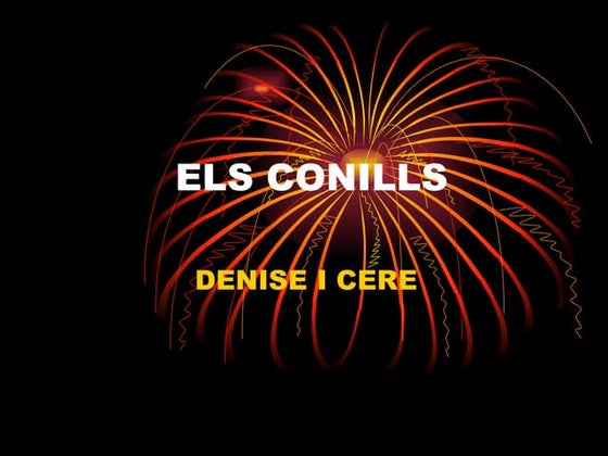 Investigació del conill | PPT