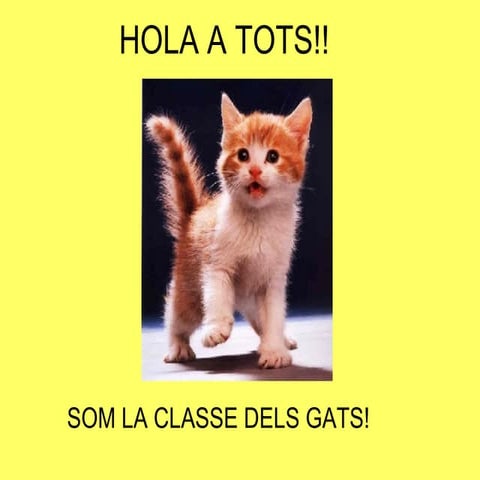 els gats | PPT