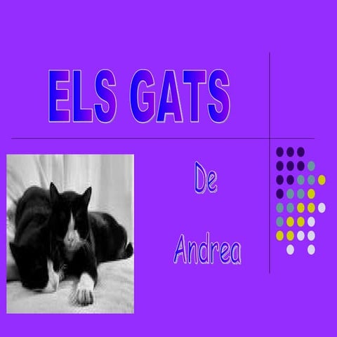 Els Gats | PPT