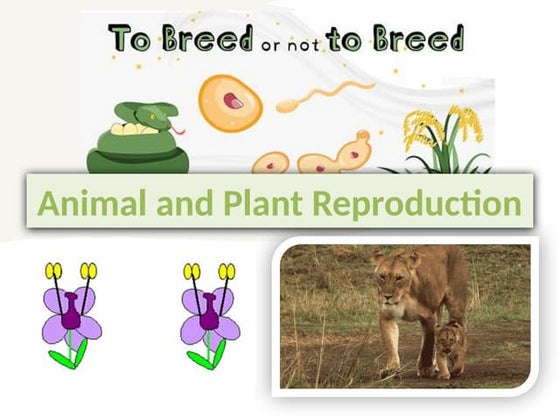 Asexual reproduction group assignment | PDF