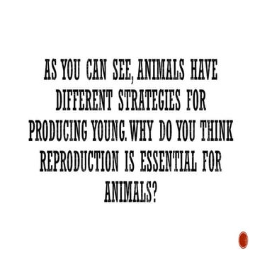 Sexual And Asexual Reproduction 22 23 Pptx