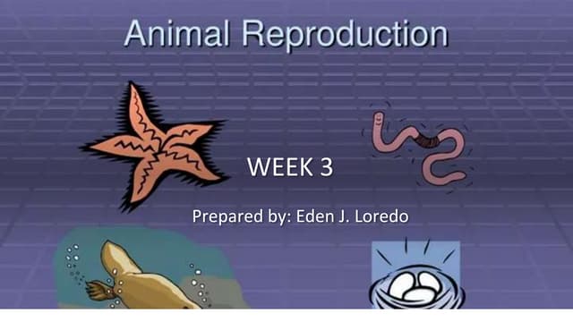 ANIMAL REPRODUCTION grade 5--------.pptx