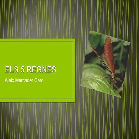 Els 5 regnes | PPTX