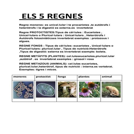 Els 5 regnes | DOCX
